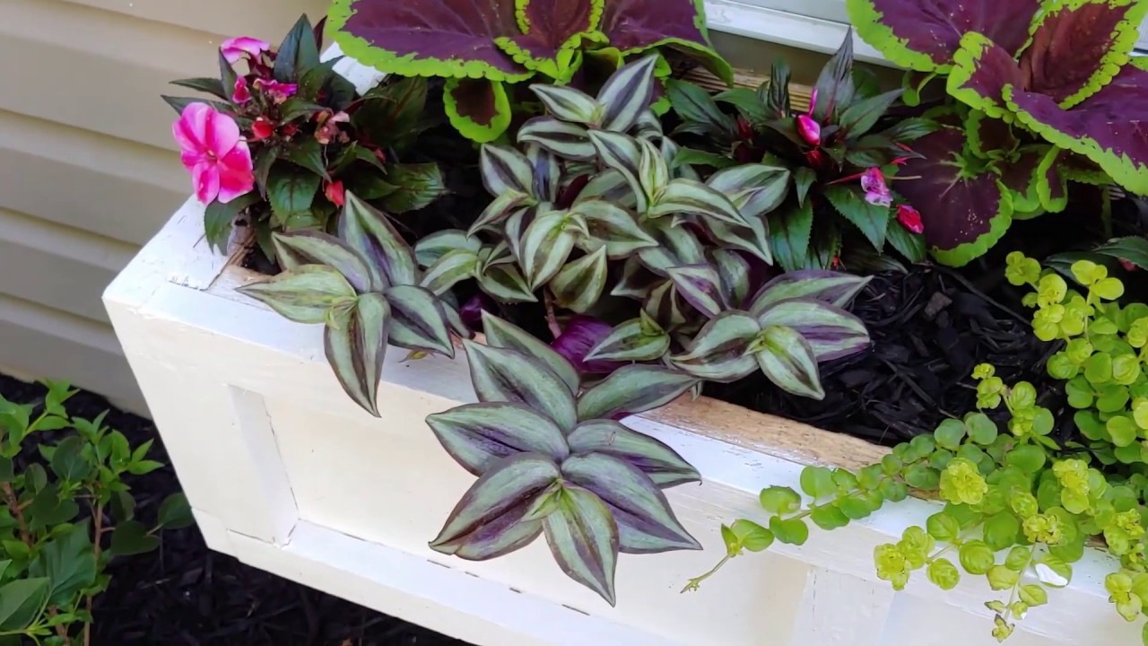 Gorgeous Shade DIY Window Box - YouTube