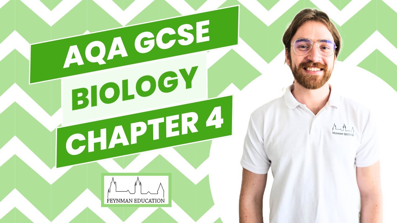 AQA GCSE Biology B4 Organising Animals and Plants - EXPLAINED - YouTube