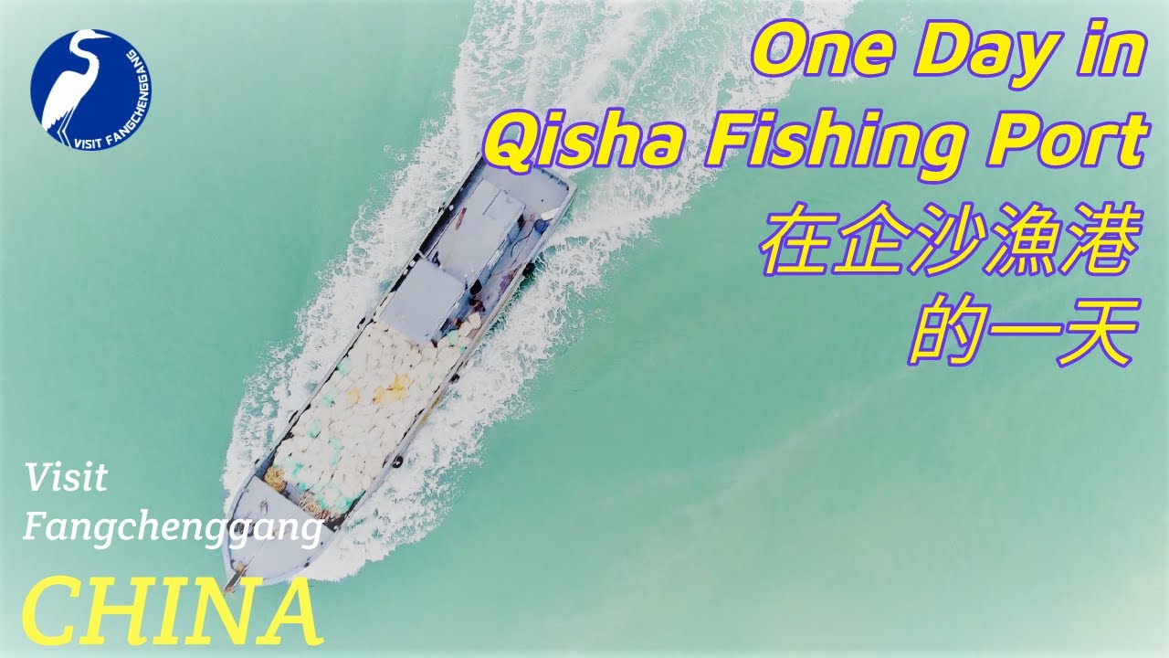 Qisha Fishing Port|China City|Guangxi Travel|Fangchenggang|企沙漁港的一天|中國城市 ...