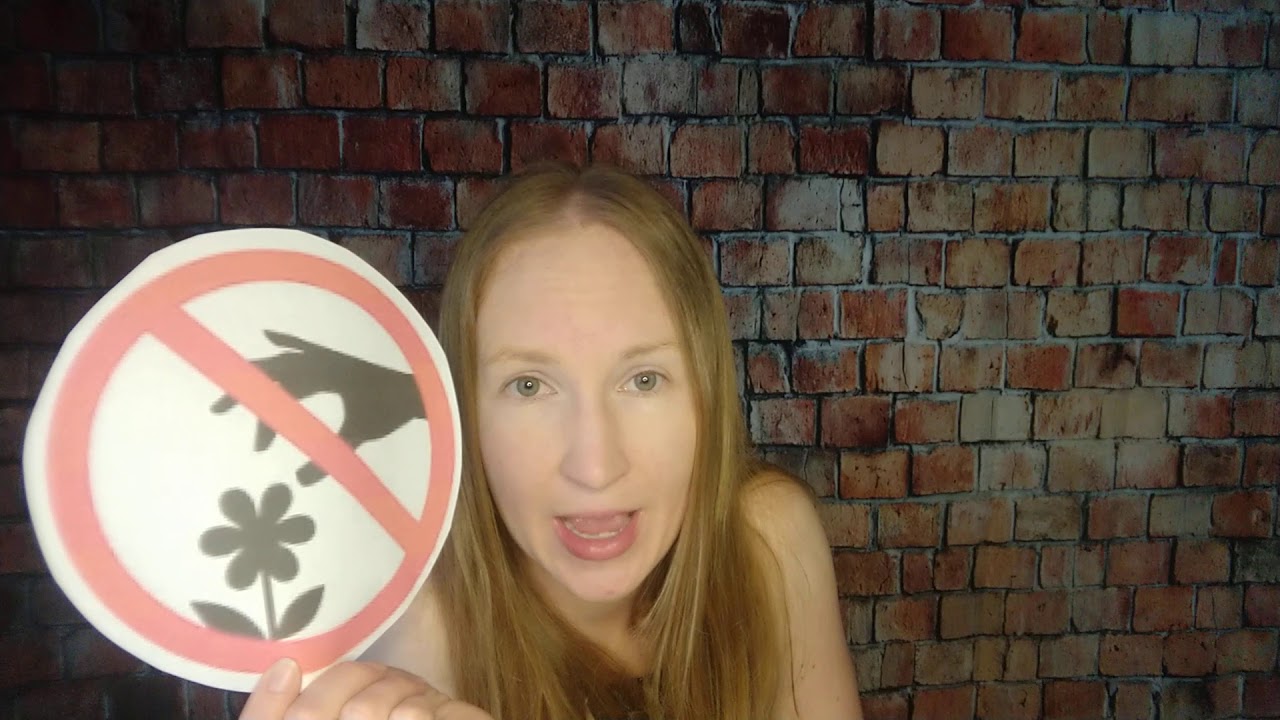 zoo-rules-youtube