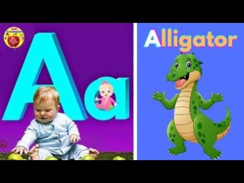 ABC Song for Kids 🎶 | A for Alligator 🐊, B for 🐻 & More | Learn A to Z ...