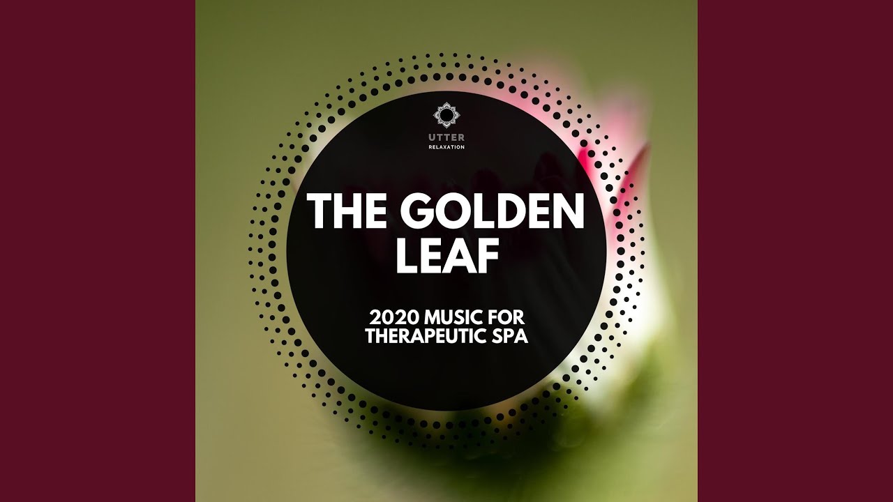 Absolute Relaxation - YouTube