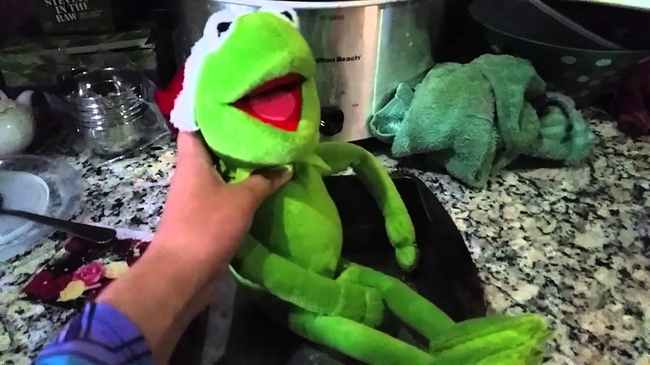 Cooking with Kermit the Frog: How to cook Kermit - YouTube
