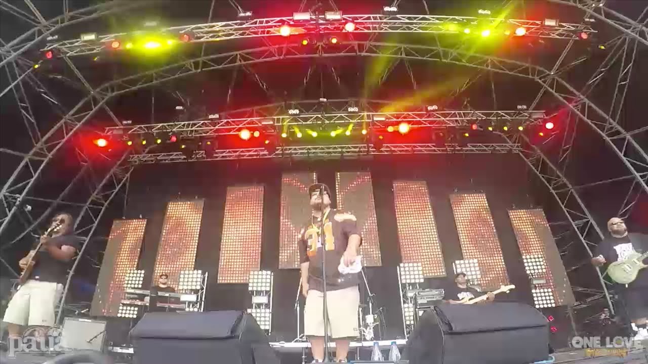 Paua Live @ One Love NZ Festival 2016 - YouTube