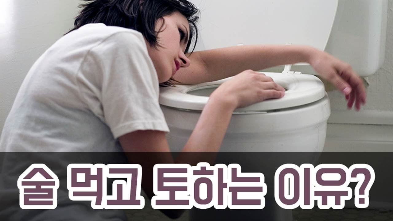 술 먹고 토하는 이유 하늘건강나음터 Youtube