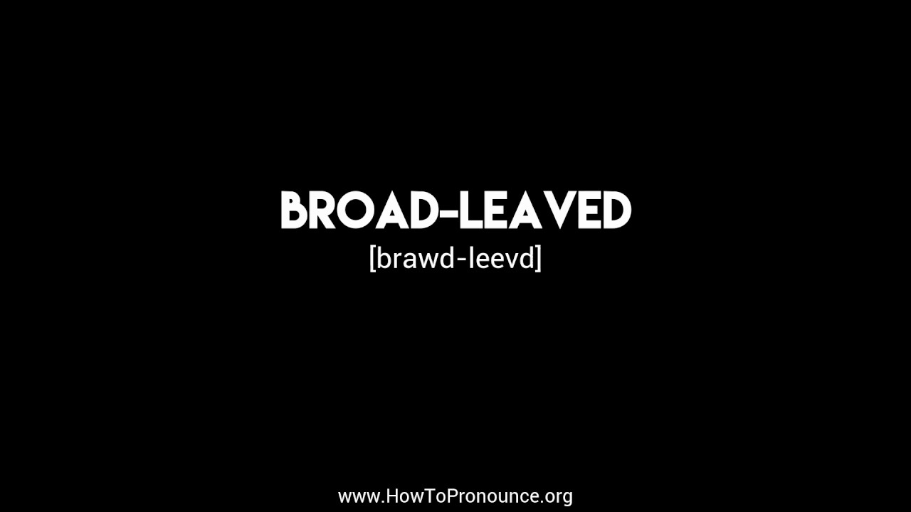 How to Pronounce "broad-leaved" - YouTube