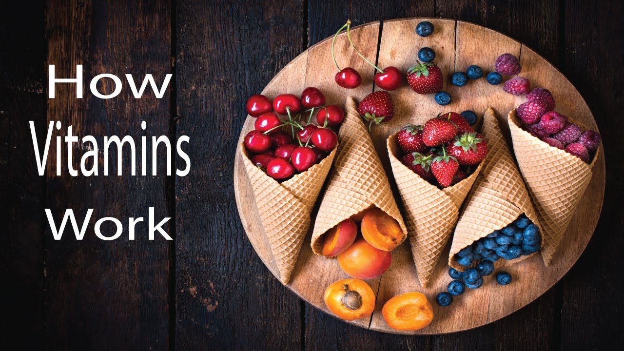 The building blocks of our body… - YouTube