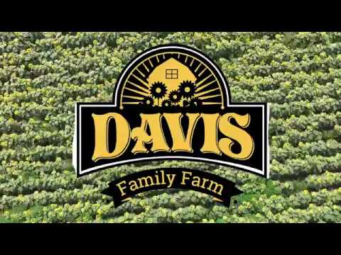 Davis Family Farm - YouTube