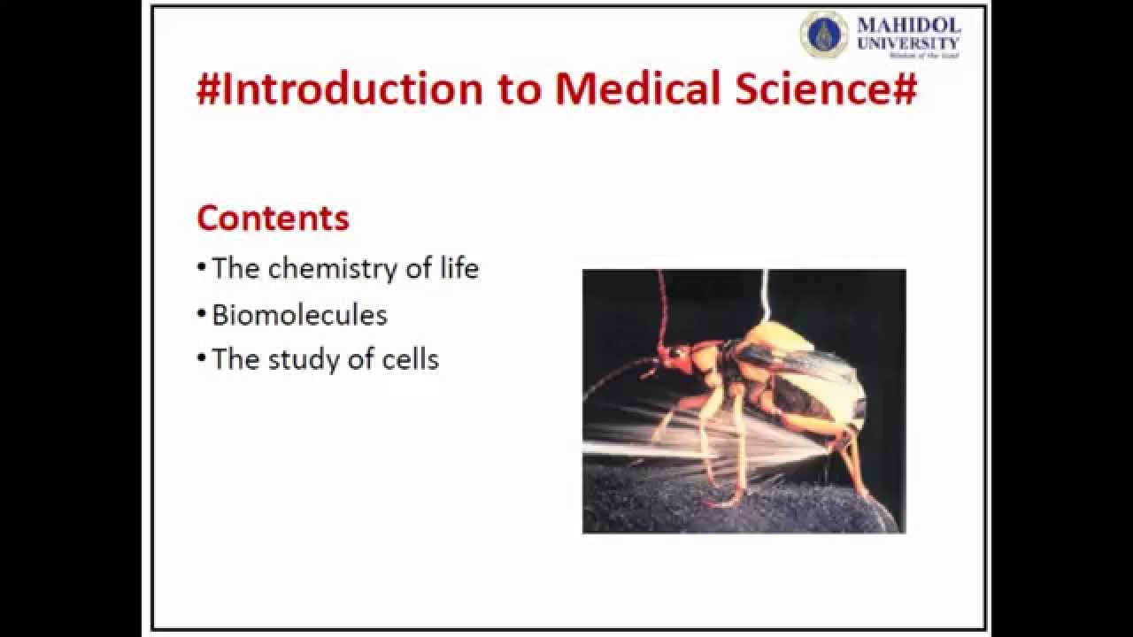 สมวบ 243 part 1 15/1/15 (ฺIntroduction to Medical Science) - YouTube