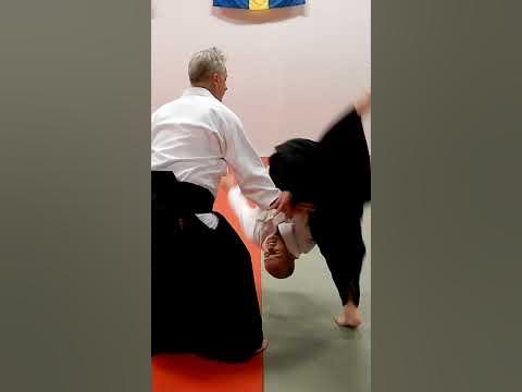 Aikido in slow motion: KOKYU NAGE, by Stefan Stenudd - YouTube