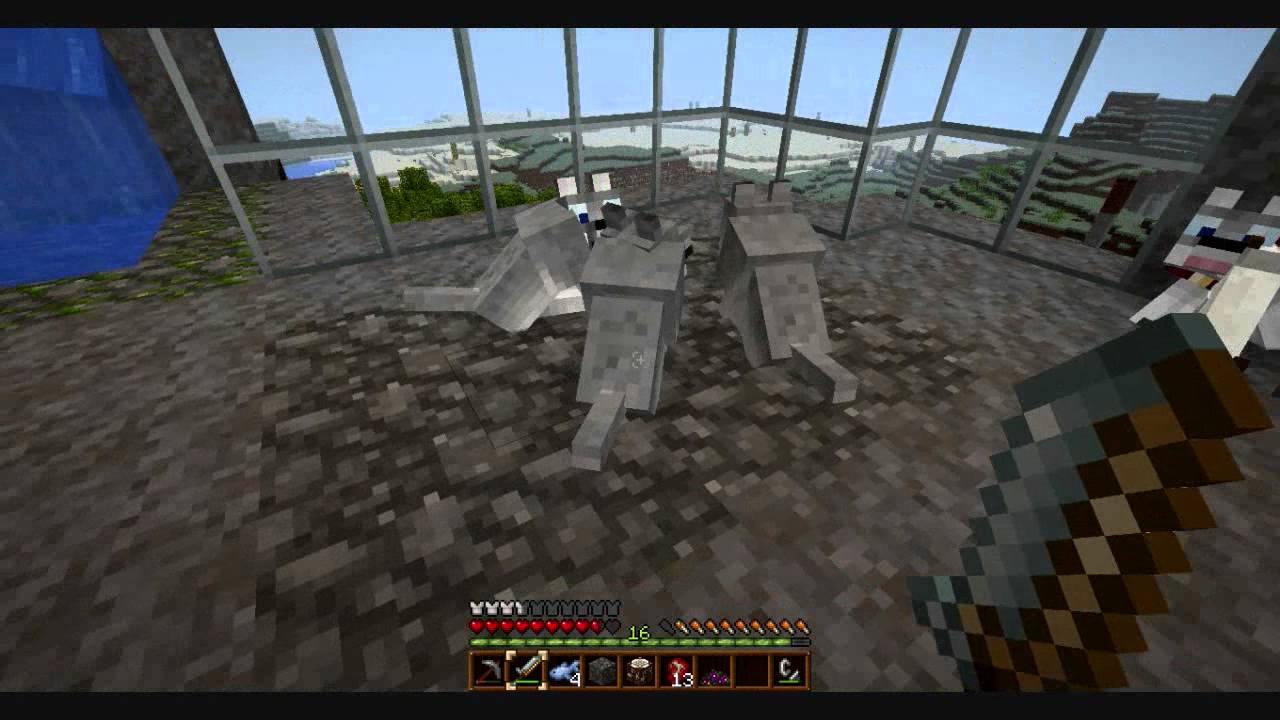 Voting Reminder [MEOW, DAMMIT. MEOW!] - YouTube