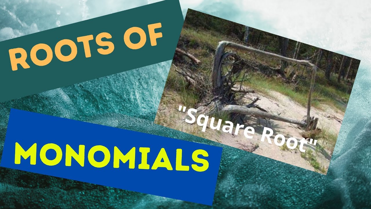Pre Algebra 10 8 Roots of Monomials - YouTube