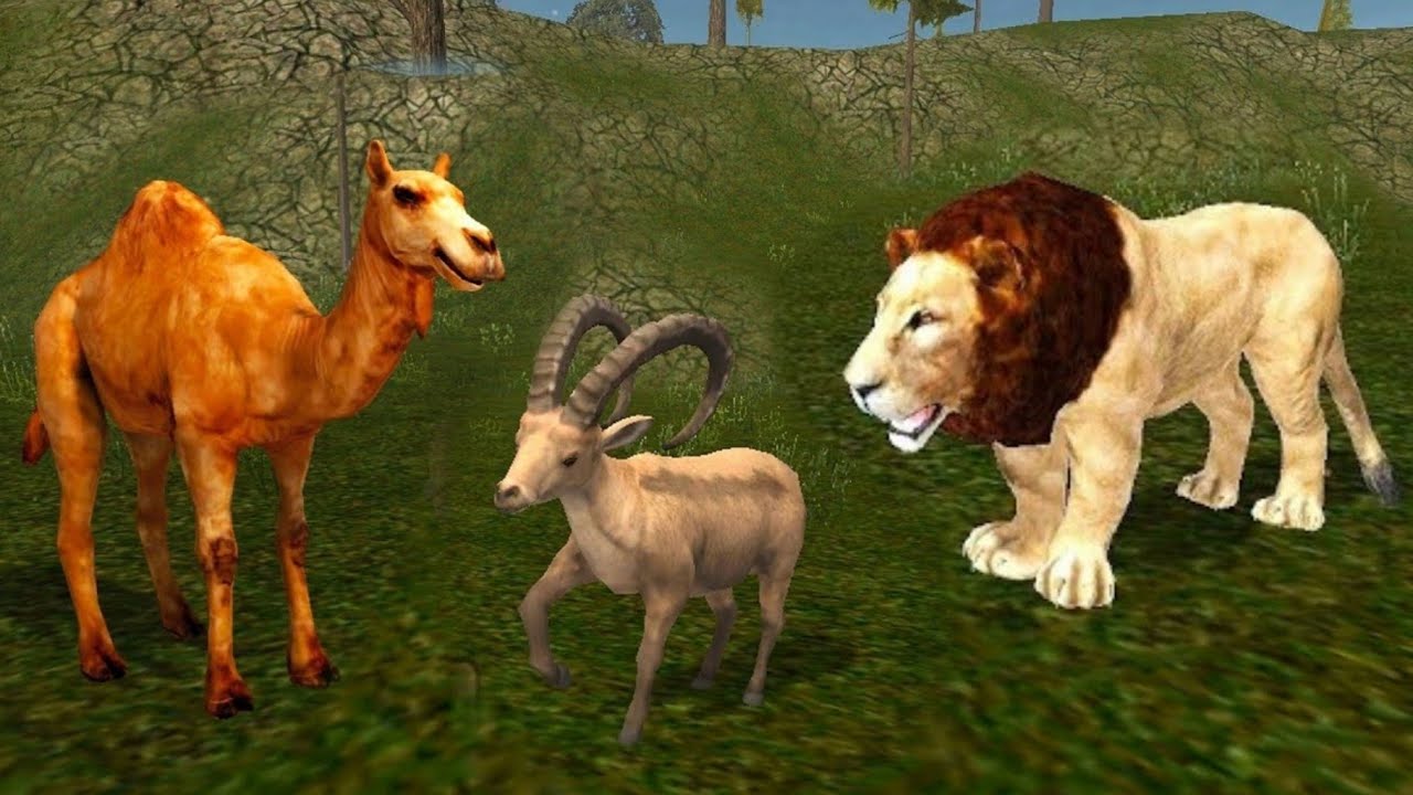 Ultimate Camel vs Lion Game | Animal Gameplay | Hannu Games - YouTube