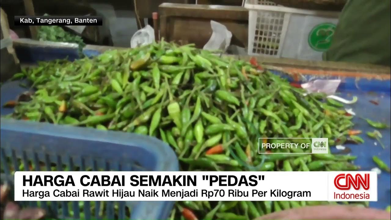 Harga Cabai Semakin "Pedas" - YouTube