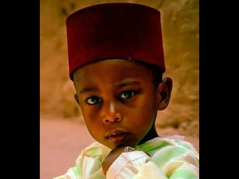 AMPAC Fundamentals (class 1) - YouTube