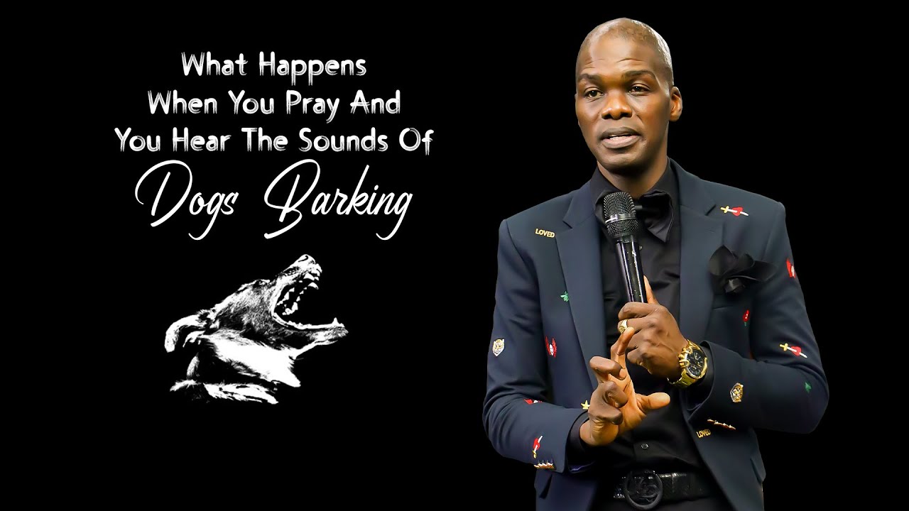 What Happens When You Pray And You Hear The Sounds Of Dogs Barking ...