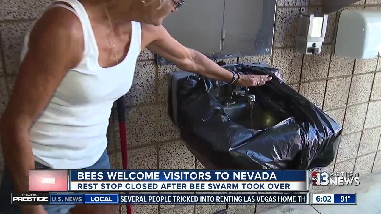 Rest stop overrun by swarm of bees - YouTube