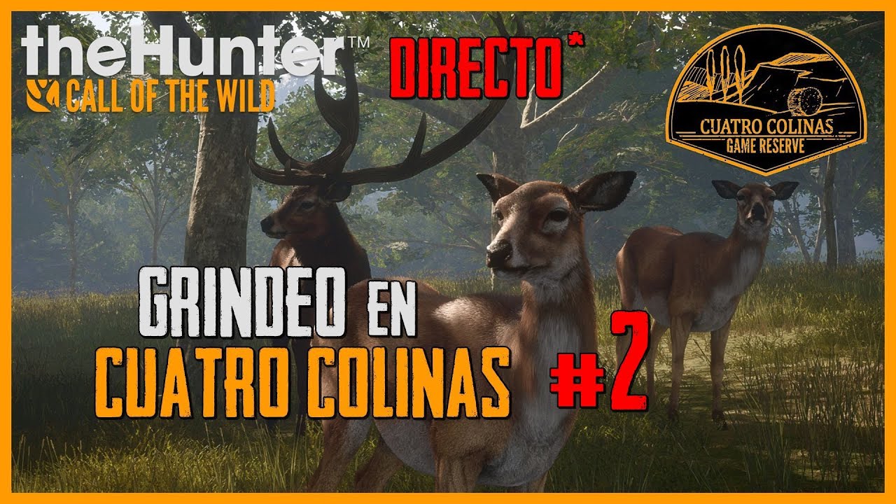 SEGUNDO GRINDEO DE CIERVO COMÚN EN CUATRO COLINAS - ¿BUSCANDO EL TERCER ...