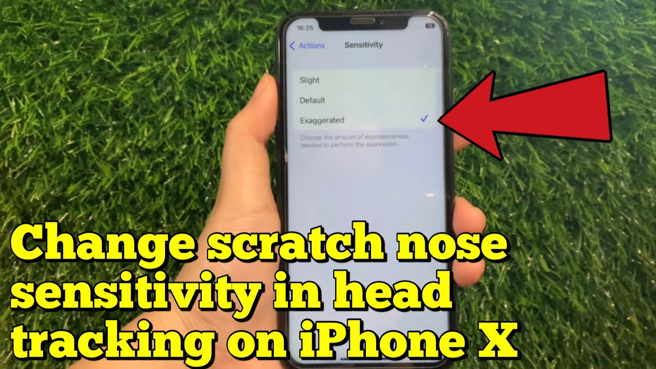 How to change scratch nose sensitivity in head tracking on iPhone X ...