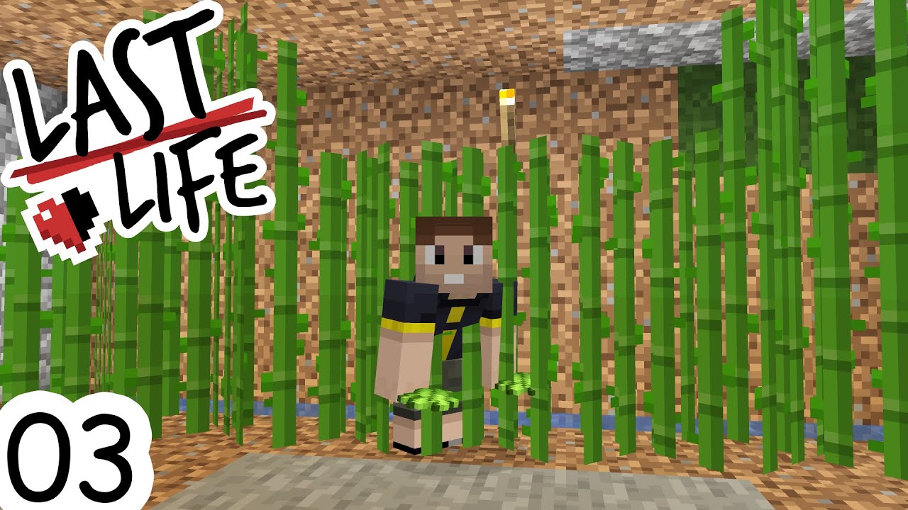 Minecraft Last Life SMP | Ep 03 - THE GREAT SUGARCANE HEIST! - YouTube