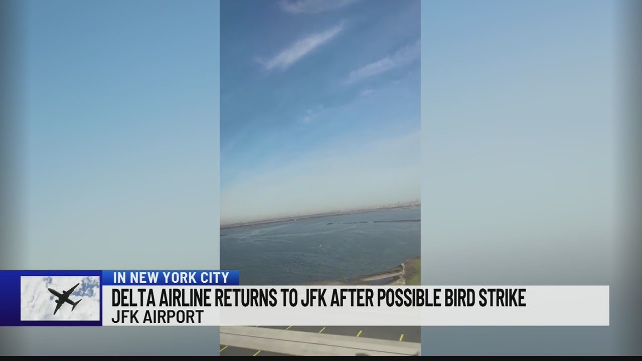 Delta airline returns to JFK after possible bird strike - YouTube