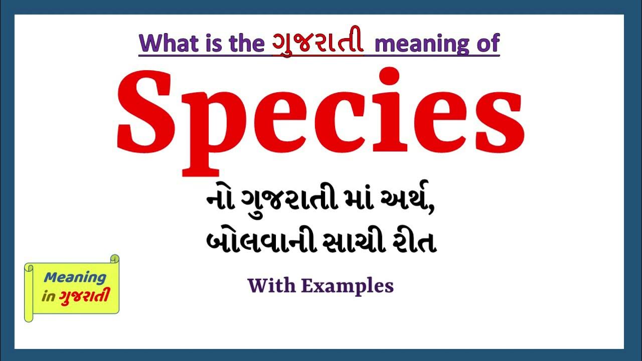 Species Meaning In Gujarati Species Species In Gujarati Dictionary YouTube species-meaning-in-gujarati-species-species-in-gujarati-dictionary-youtube