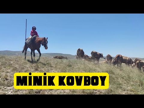 SÜRÜYÜ GÜDEN KÜÇÜK KOVBOY (Köy Sürüsüne Eşlik Eden Aile)