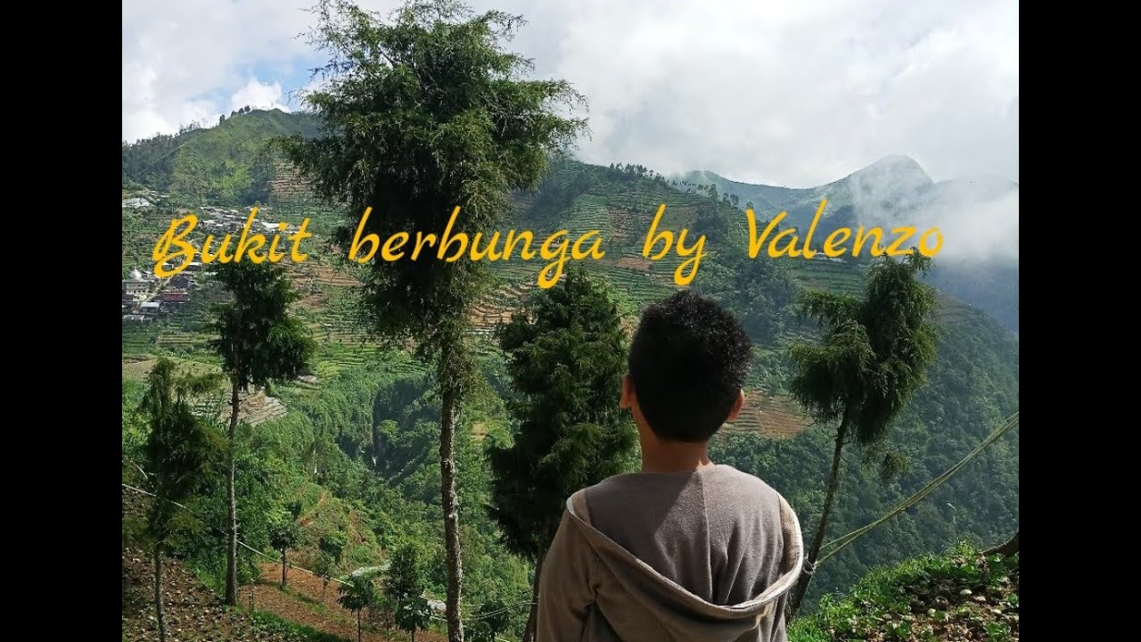 Bukit berbunga - YouTube