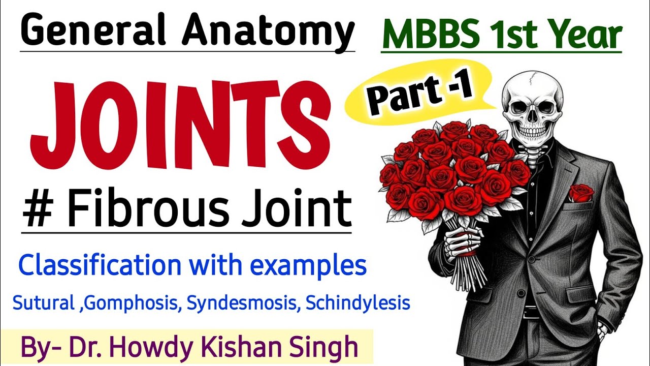 Fibrous Joints – Types, Examples & Structure | General Anatomy Notes ...