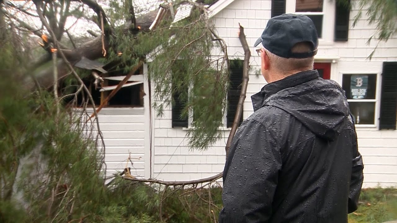 Powerful winds snap trees across northeastern Mass. - YouTube