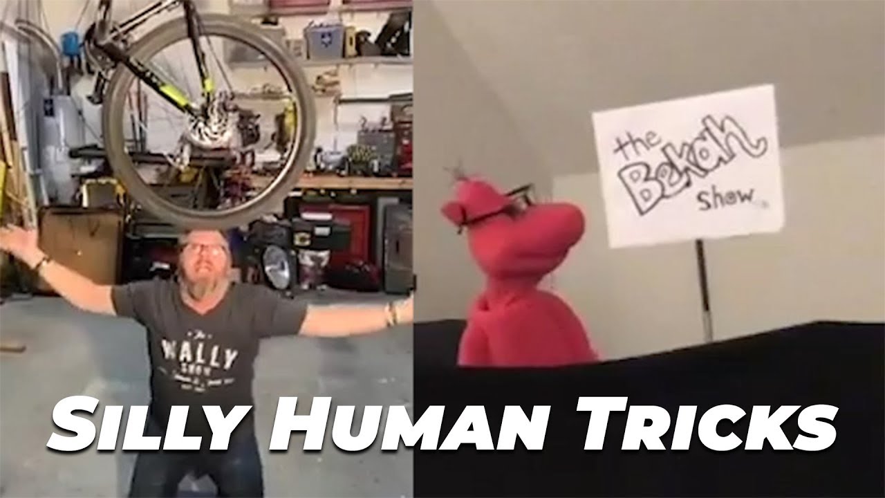 The Wally Show's Got (Useless) Talent - YouTube