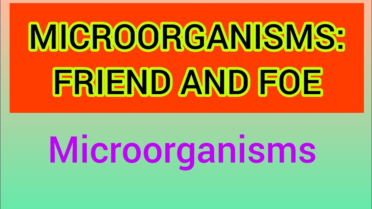Microorganisms: Friend and Foe/Microorganisms/ Class- 8/ Science/ NCERT ...
