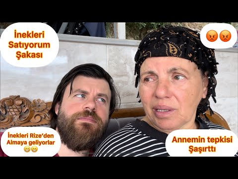 İNEKLERİ SATIYORUM ŞAKASI / ANNEMİN TEPKİSİ