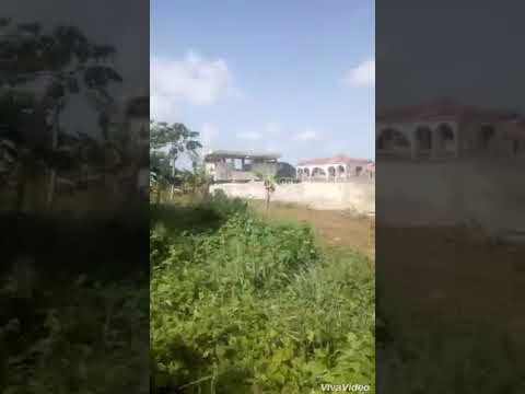 Honesty ikoi Egoma construction company worldwide.