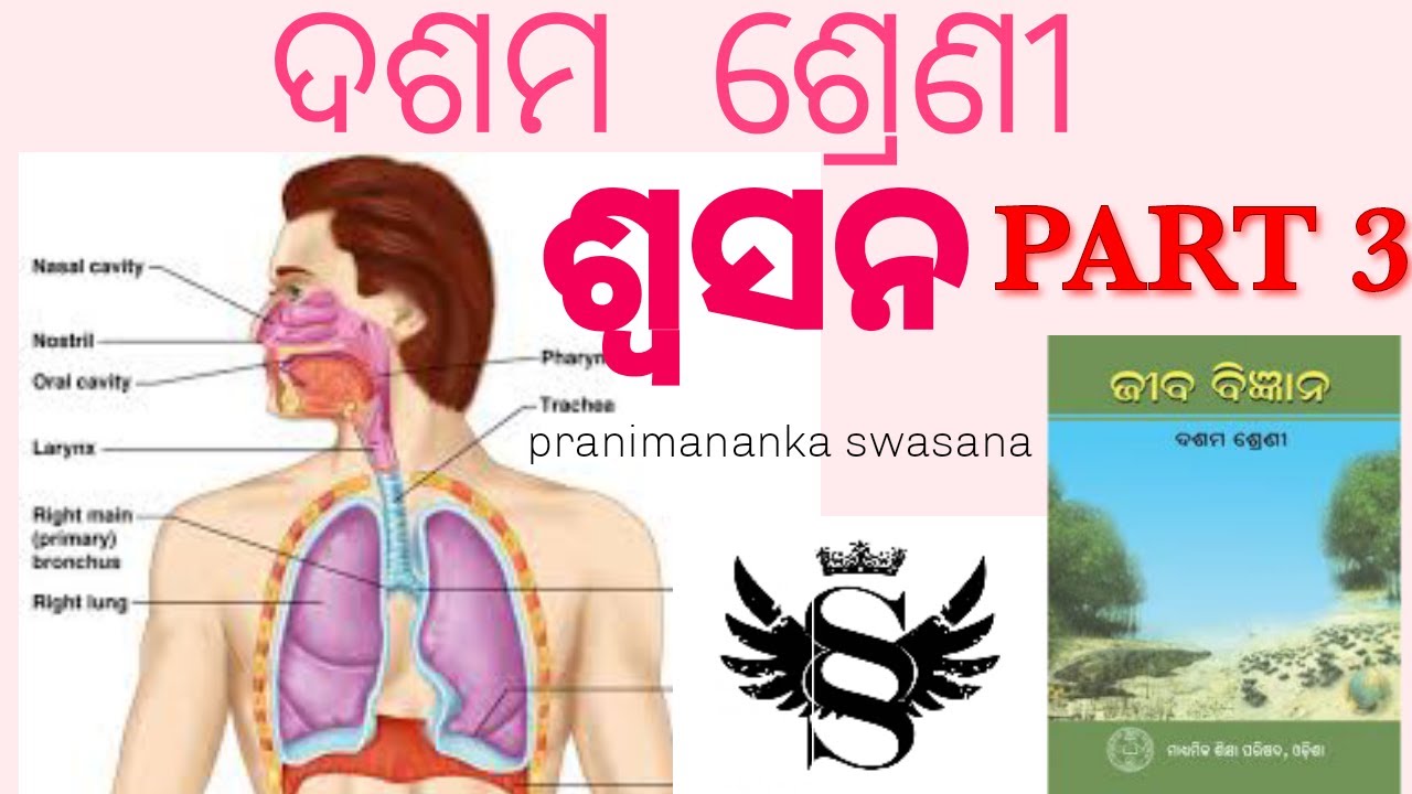 10th Class Odia Medium Respiration Part 3 YouTube 10th-class-odia-medium-respiration-part-3-youtube