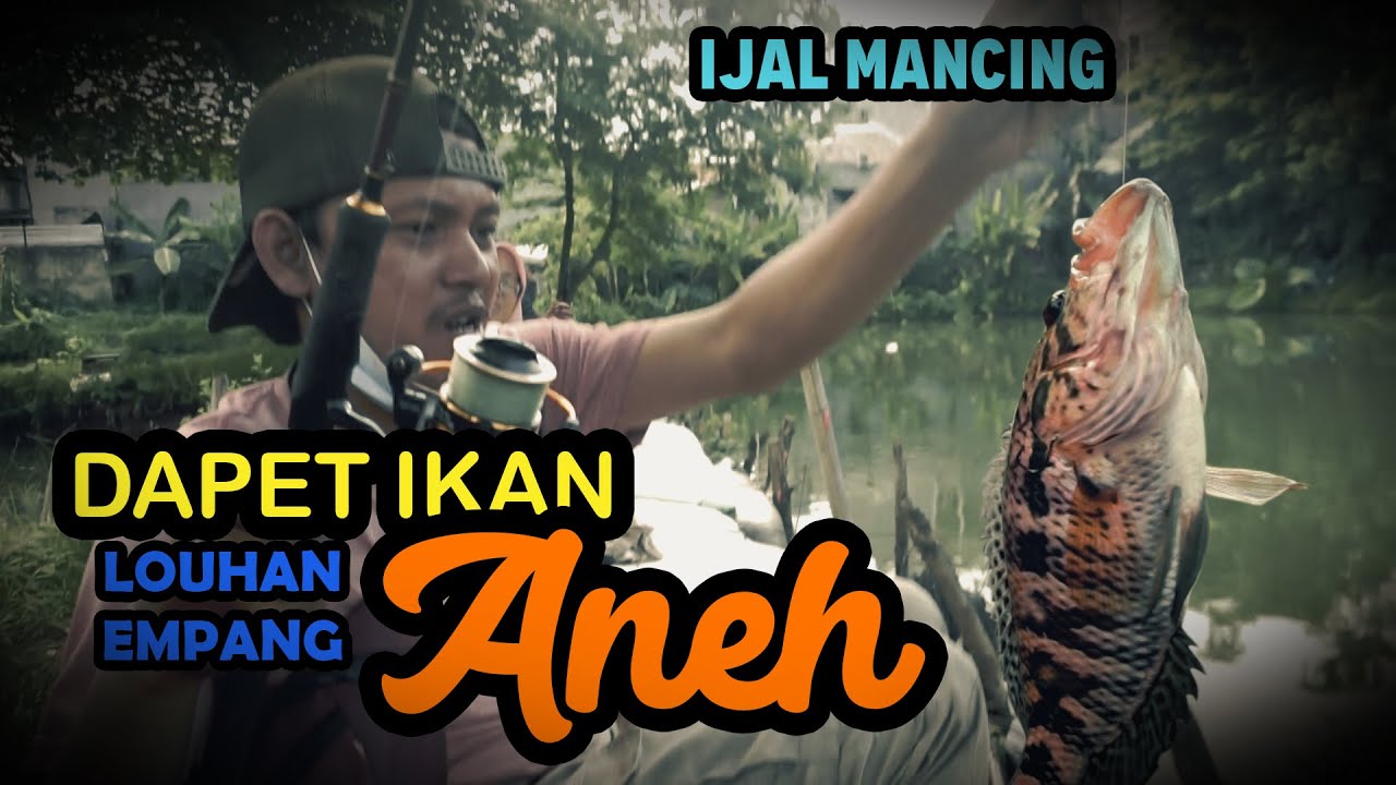 Si Ijal Lomba Mancing dapat Ikan Aneh? Mujair Arwana - YouTube