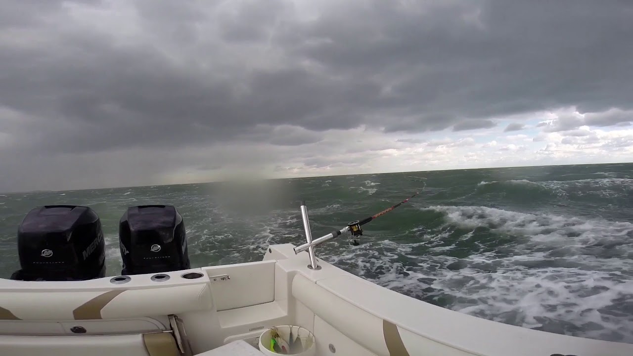 MarineMax 32 Sailfish - YouTube