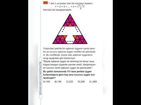 Temel Kavramlar Yeni Nesil Soru Testi 19.soru