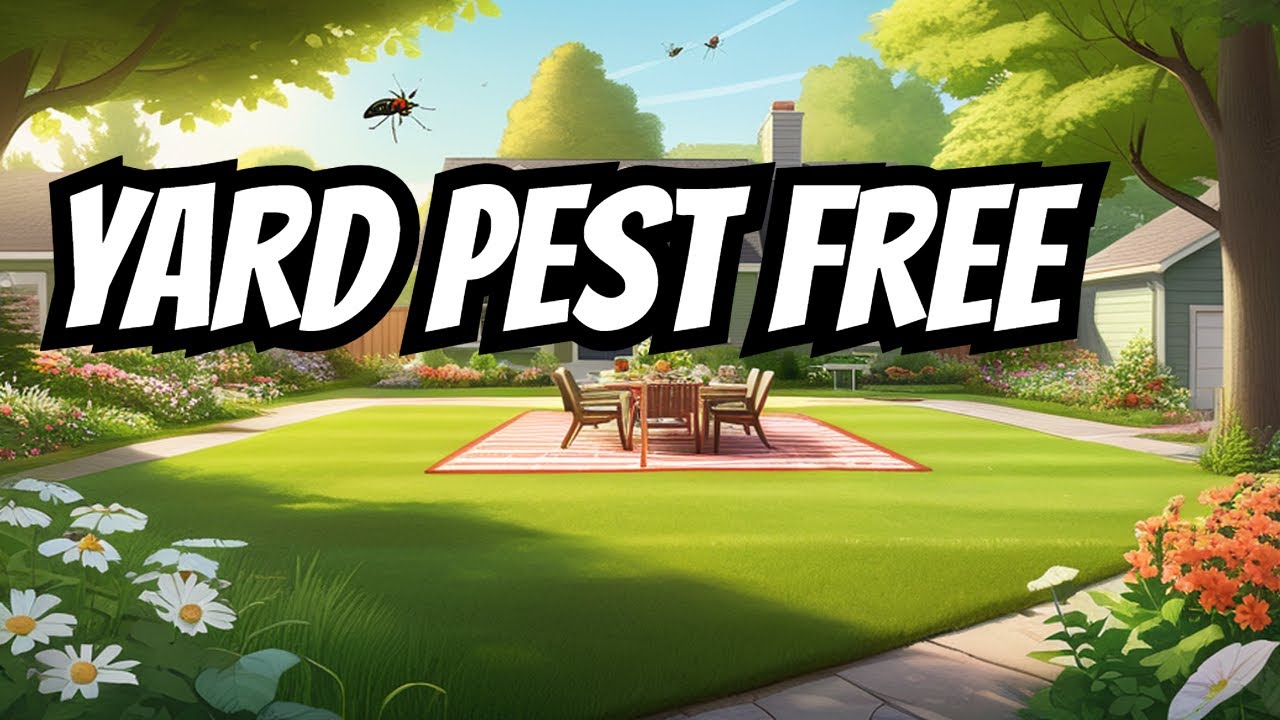 BEST INSECT CONTROL FOR YARD ~ SEASON LONG PEST CONTROL - YouTube