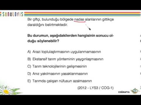 LYS Coğrafya 1