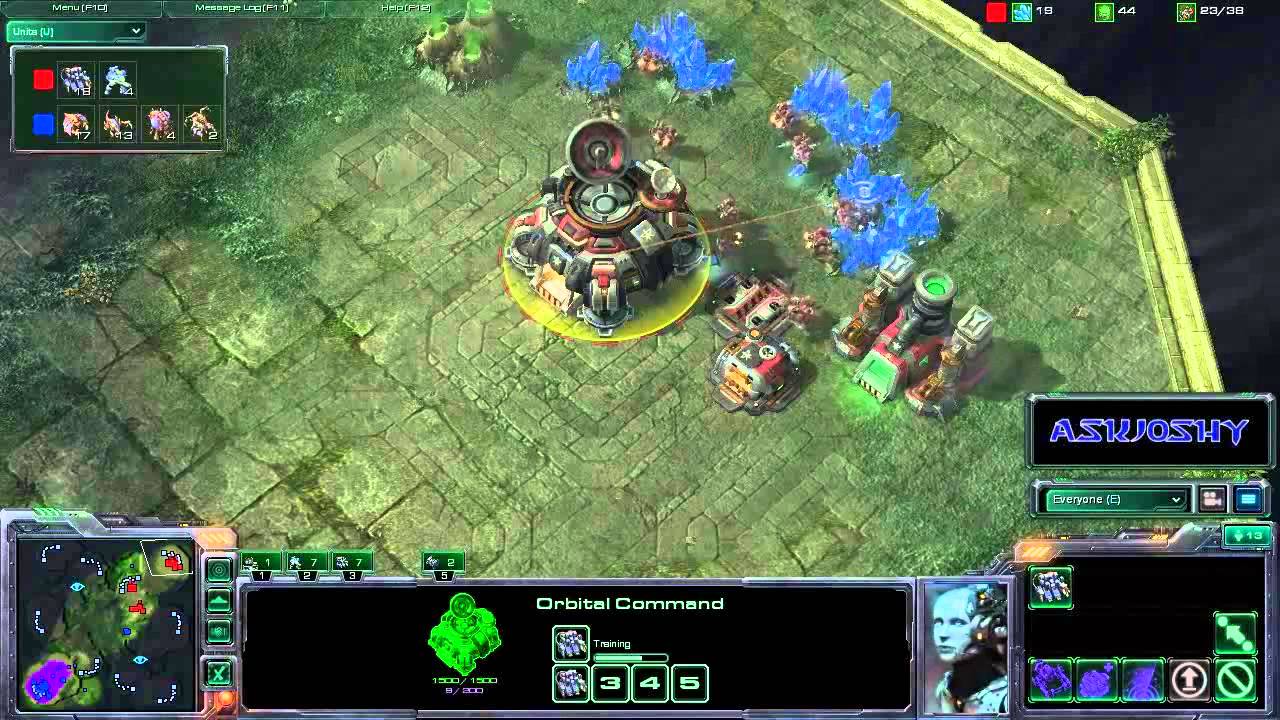 SC2 TLO vs Dimaga Starcraft 2 - YouTube