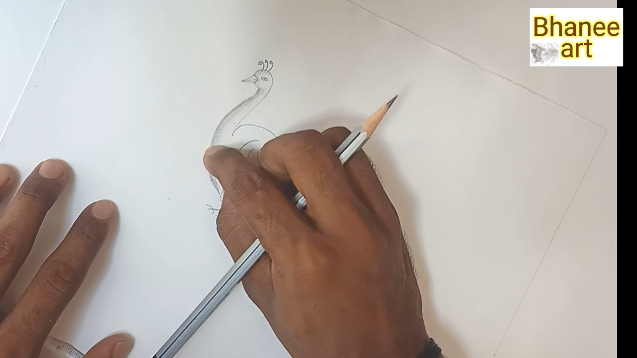 Mor Ka Chitra Banaye।🔥 How To Draw A Peacock।🔥 Peacock Drawing Easy ...
