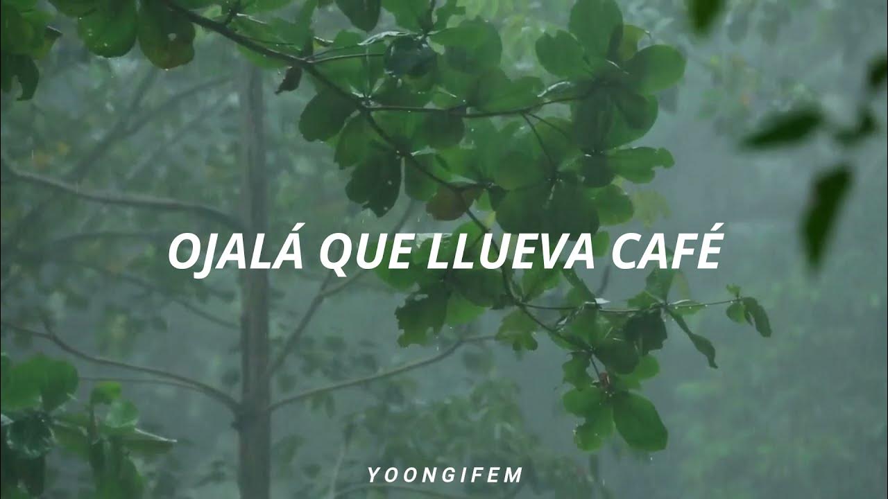 Juan Luis Guerra - Ojalá que llueva café (LETRA) - YouTube Music