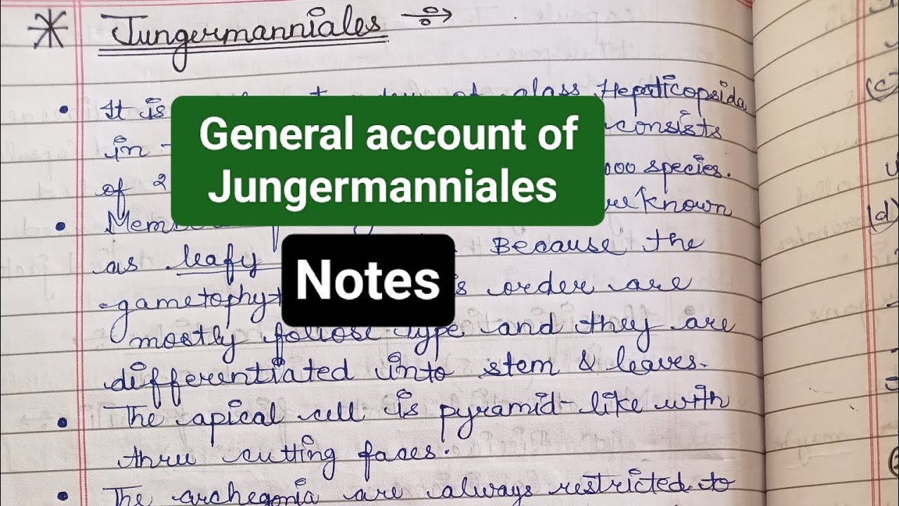 General account of Jungermanniales / Gametophyte / Morphology ...