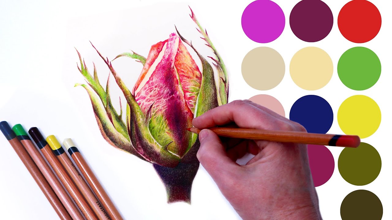 5 Fun and Easy Do's and Don'ts of Colour Selection - YouTube