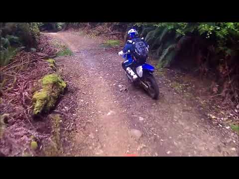 Rock Garden track, Karapoti Akatarawa forest - Welllington