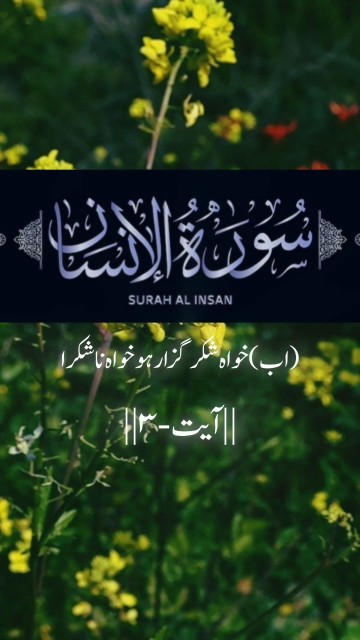 Quran Surah Al-Insaan Urdu translation #quran #islamic #shortsfeed ...