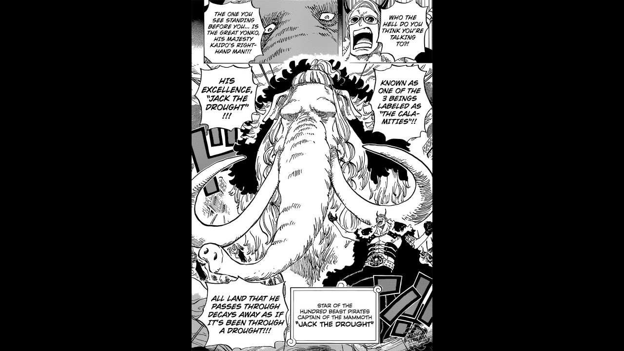 ONE PIECE 808 DUKE INUARASHI LIVE REACTION , SO JACK IS A CALAMITE AND ...