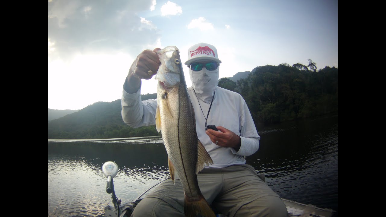 Robalo flechas boiado - YouTube