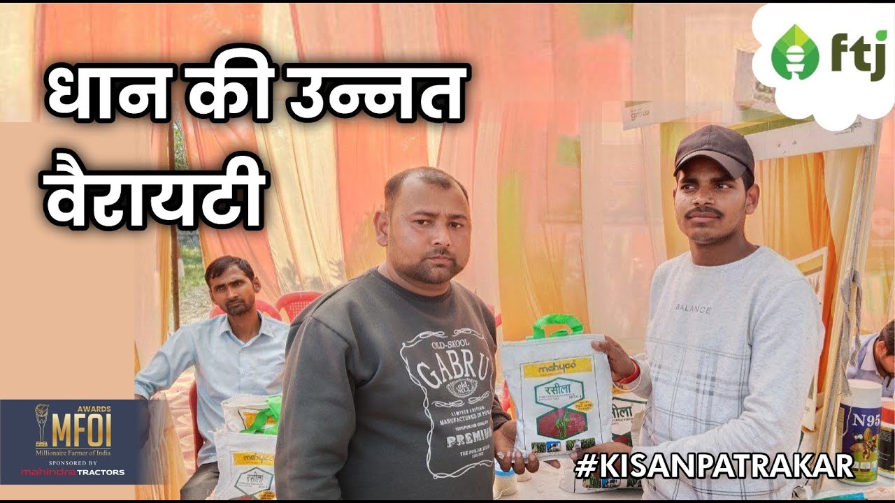 धान की इस उन्नत वैरायटी के साथ करें खेती, मिलेगा जल्दी उत्पादन | Nitesh ...